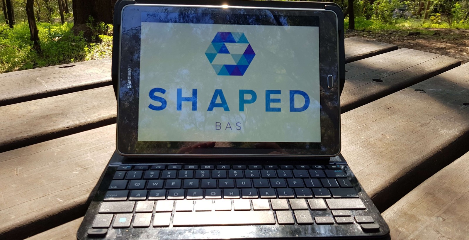 Curly Girl Numbers - Why use a BAS Agent